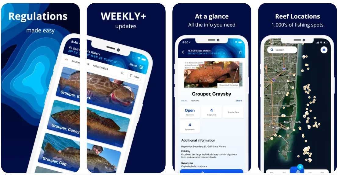11 Best Free Fishing Apps To Use In 2025