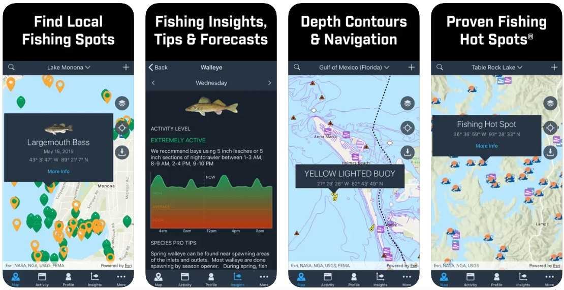 11 Best Free Fishing Apps To Use In 2025