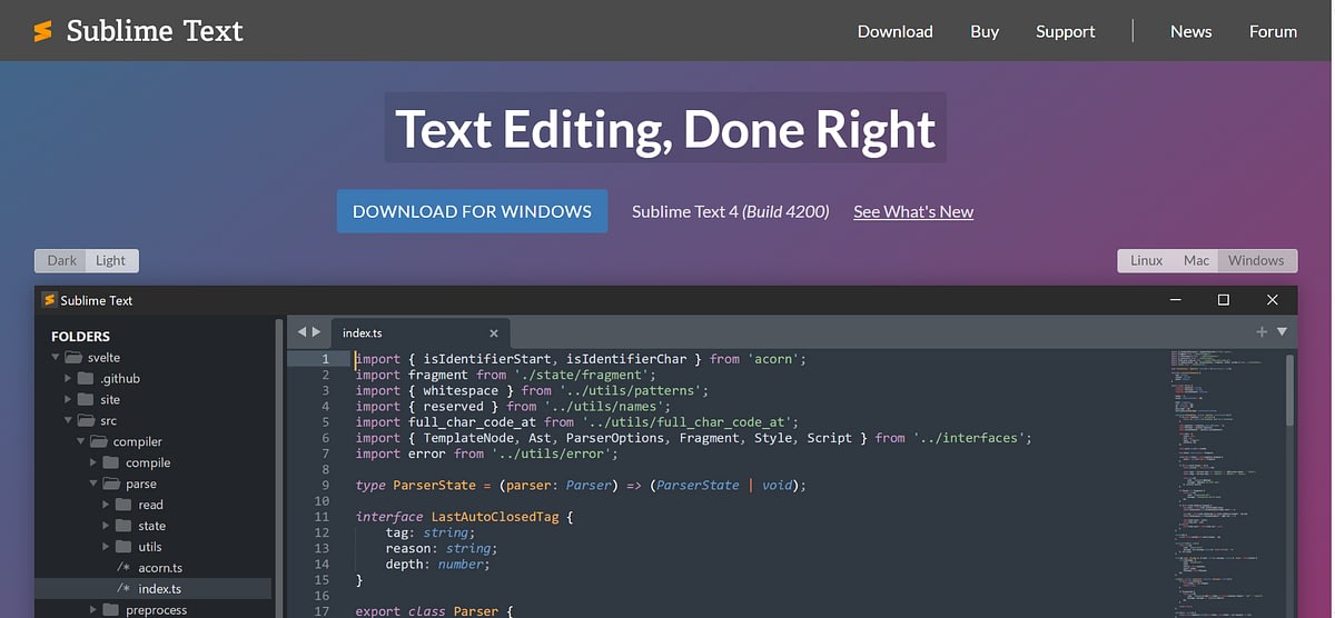 14 Best HTML Viewer For Developers To Use In 2025