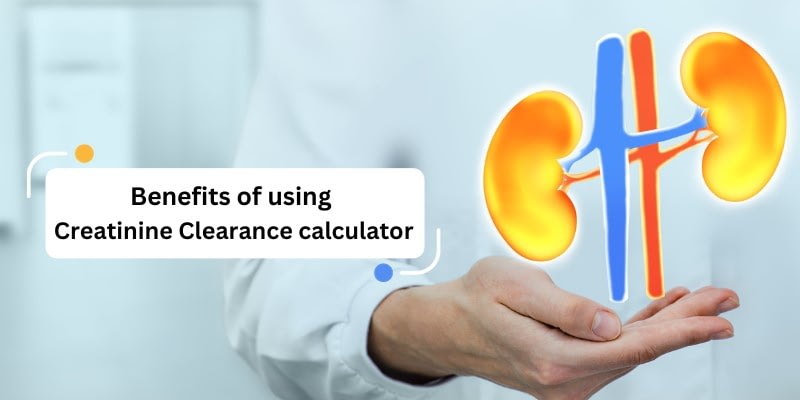 What Is A Creatinine Clearance Calculator