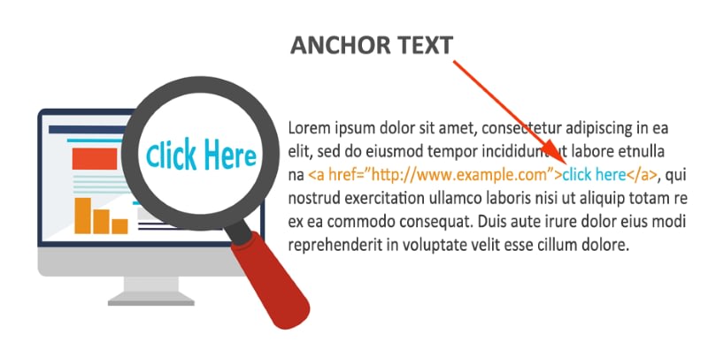 How to Dominate SEO with the 6 Types of Anchor Text - VisionVix ...