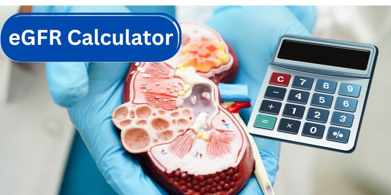 What is "EGFR" Calculator