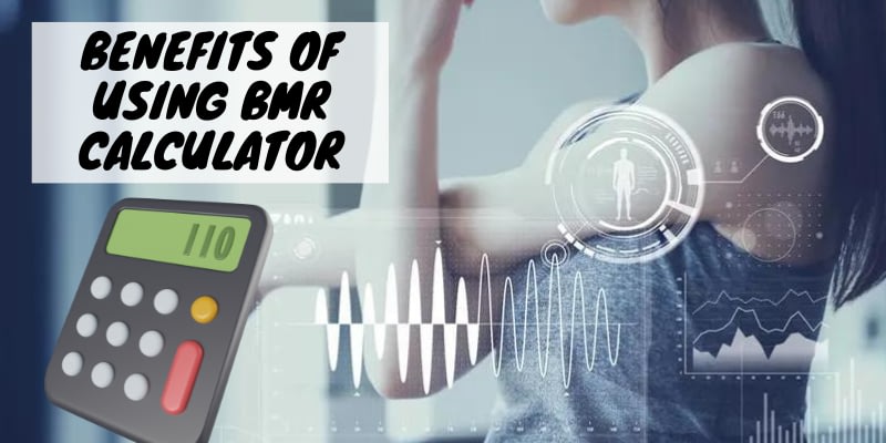 How To Use Online Free BMR Calculator?
