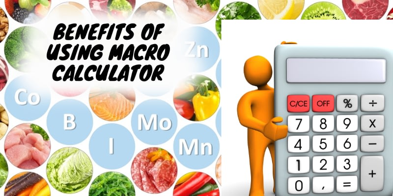 How To Use Free Macro Calculator?