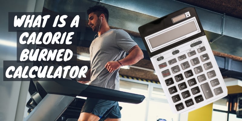 How To Use Free Calories Burned Calculator?